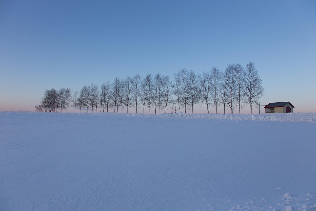 500+ Free Hokkaido & Japan Images - Pixabay