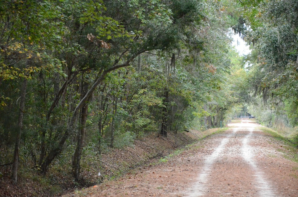 Greenway Woods Rural - Free photo on Pixabay - Pixabay
