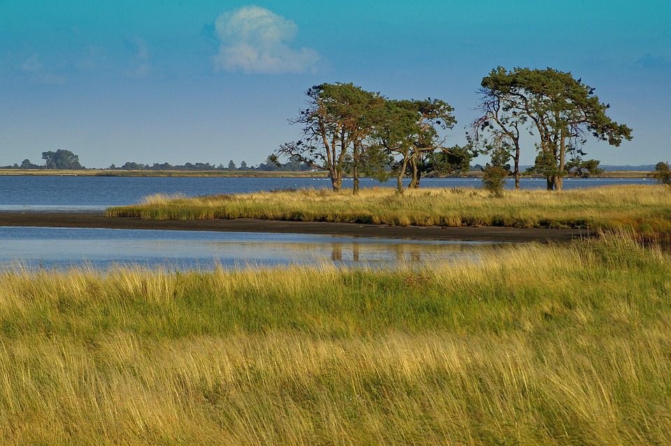 Nature Reserve Unaffected - Free photo on Pixabay