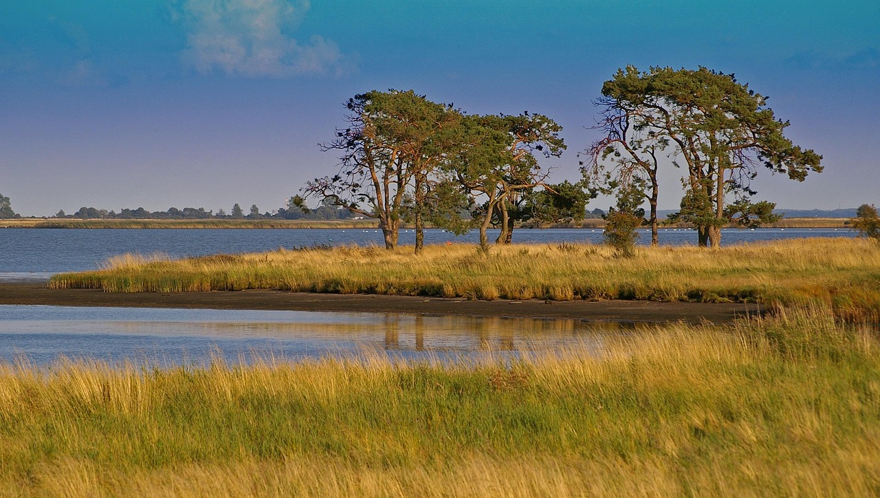 Nature Reserve Unaffected - Free photo on Pixabay - Pixabay