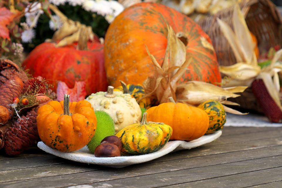 L'Automne Morsure Freestyle - Photo gratuite sur Pixabay