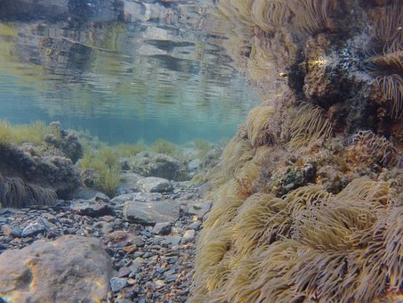 10+ Free Underwater Scenery & Scenery Images - Pixabay