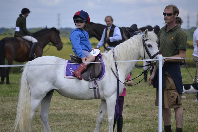 Pony Child Competition - Free photo on Pixabay - Pixabay