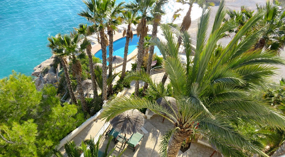 Palm Swimming Pool Palma Trees - Free photo on Pixabay
