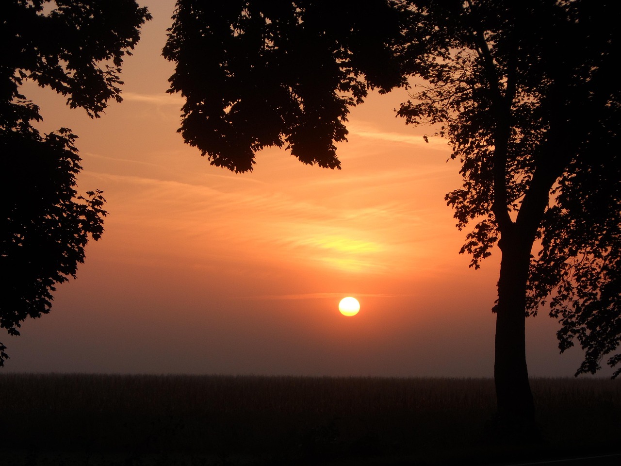 Risen Breaking Dawn Romania - Free photo on Pixabay - Pixabay