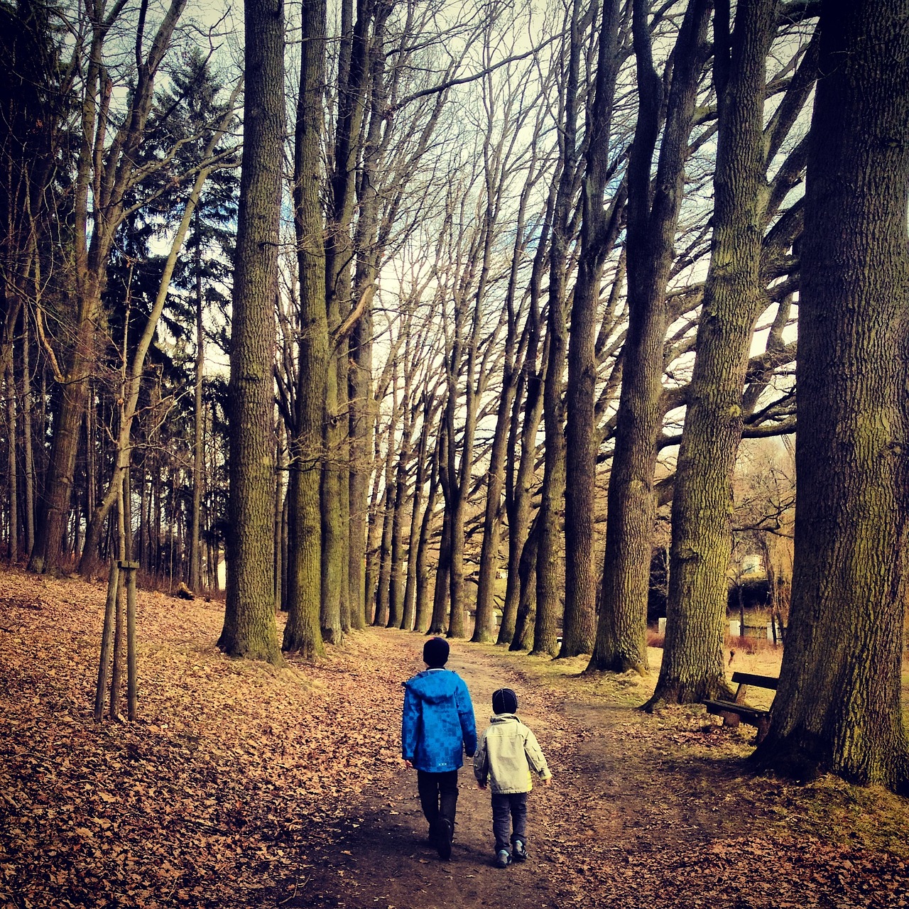 Trees Autumn Children - Free photo on Pixabay - Pixabay