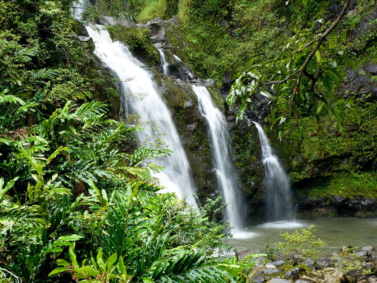 20.000+ kostenlose Insel Hawaii und Hawaii-Bilder - Pixabay