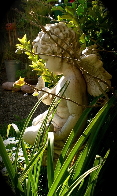 Angel Garden Close - Free photo on Pixabay