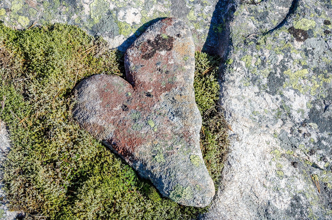80+ Free Heart-Shaped-Stone & Heart Images - Pixabay
