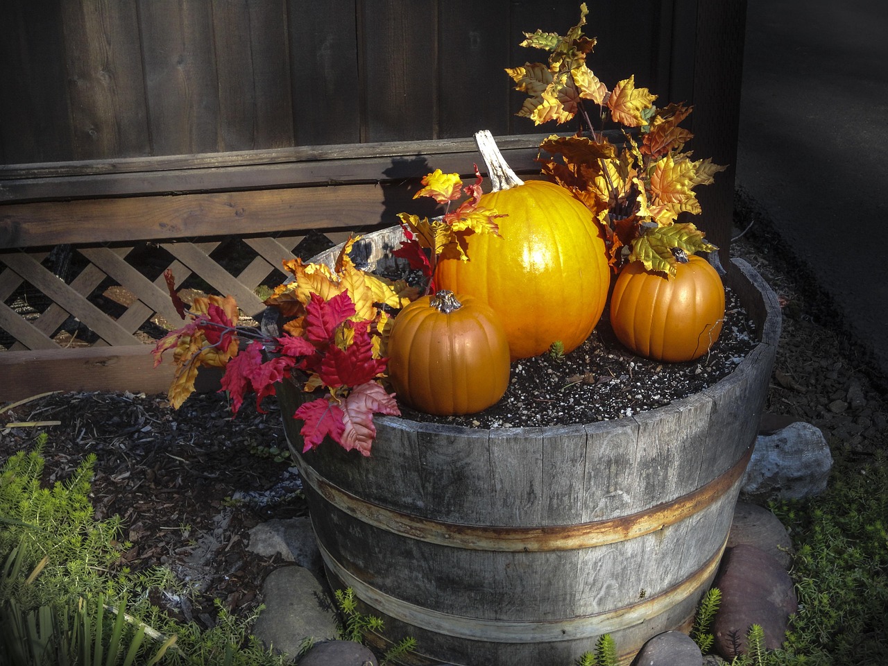 400+ Free Pumpkin Leaves & Pumpkin Images - Pixabay