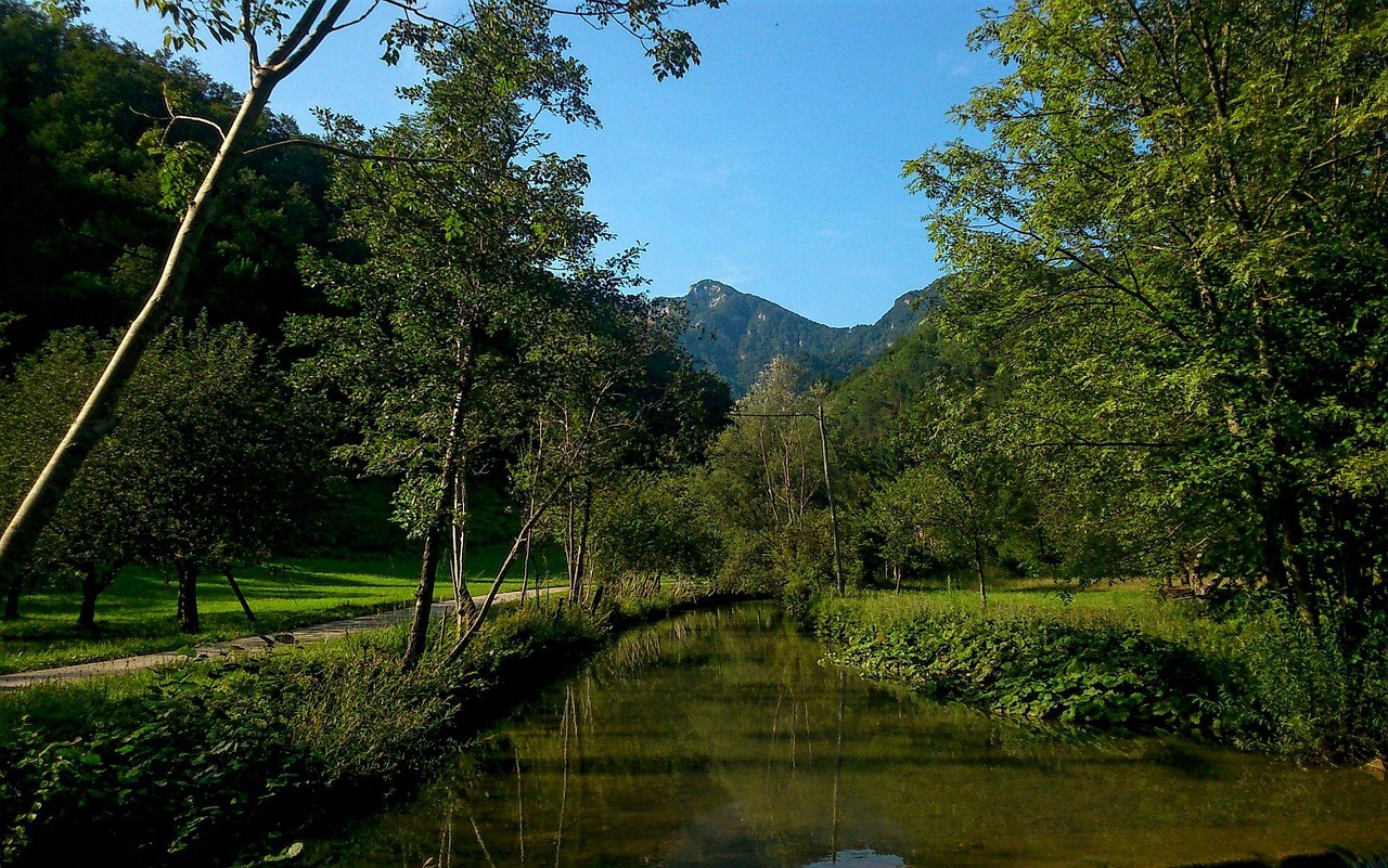 Natureza Riacho Agua - Foto gratuita no Pixabay - Pixabay