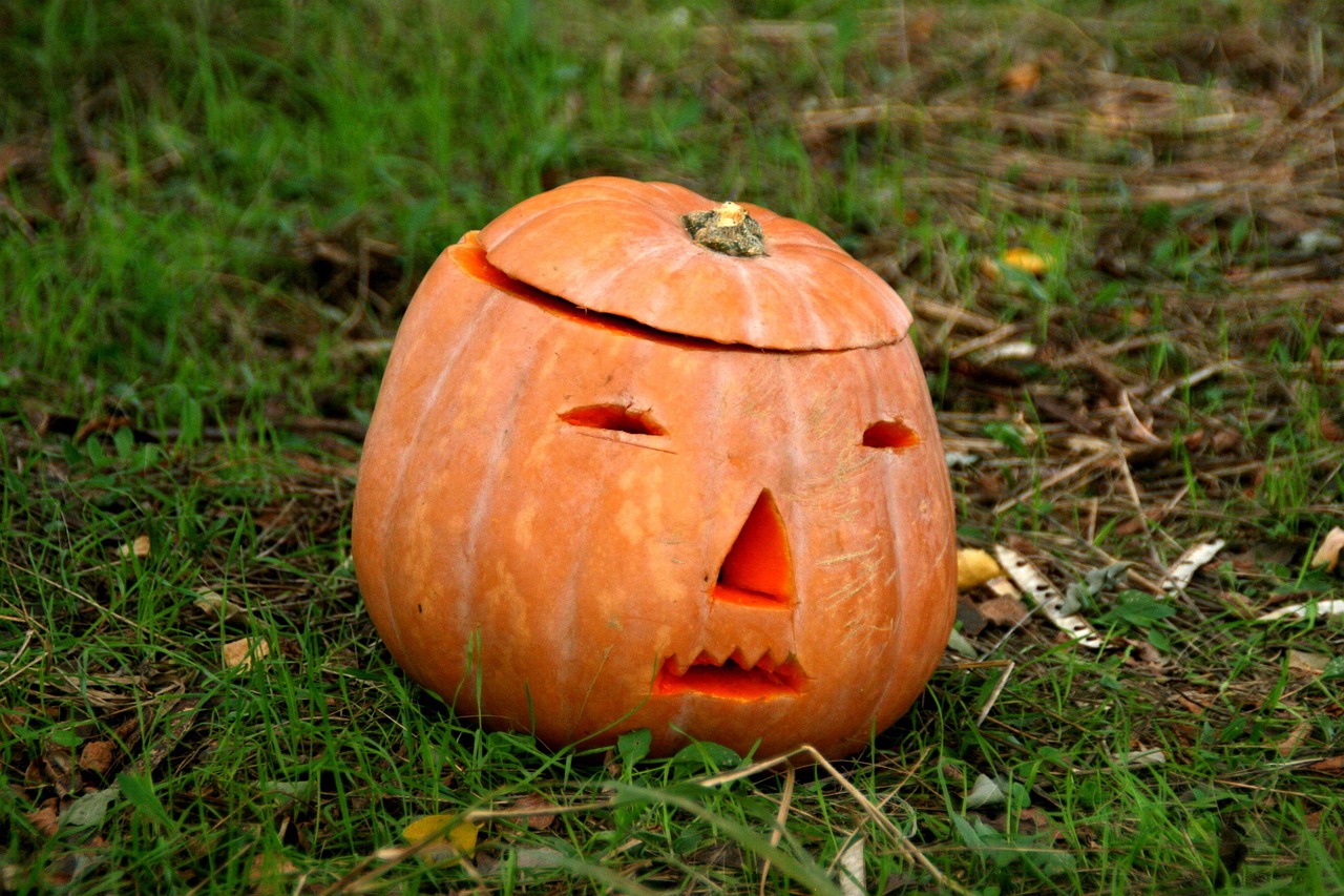 Halloween Pumpa Orange - Gratis foto på Pixabay - Pixabay