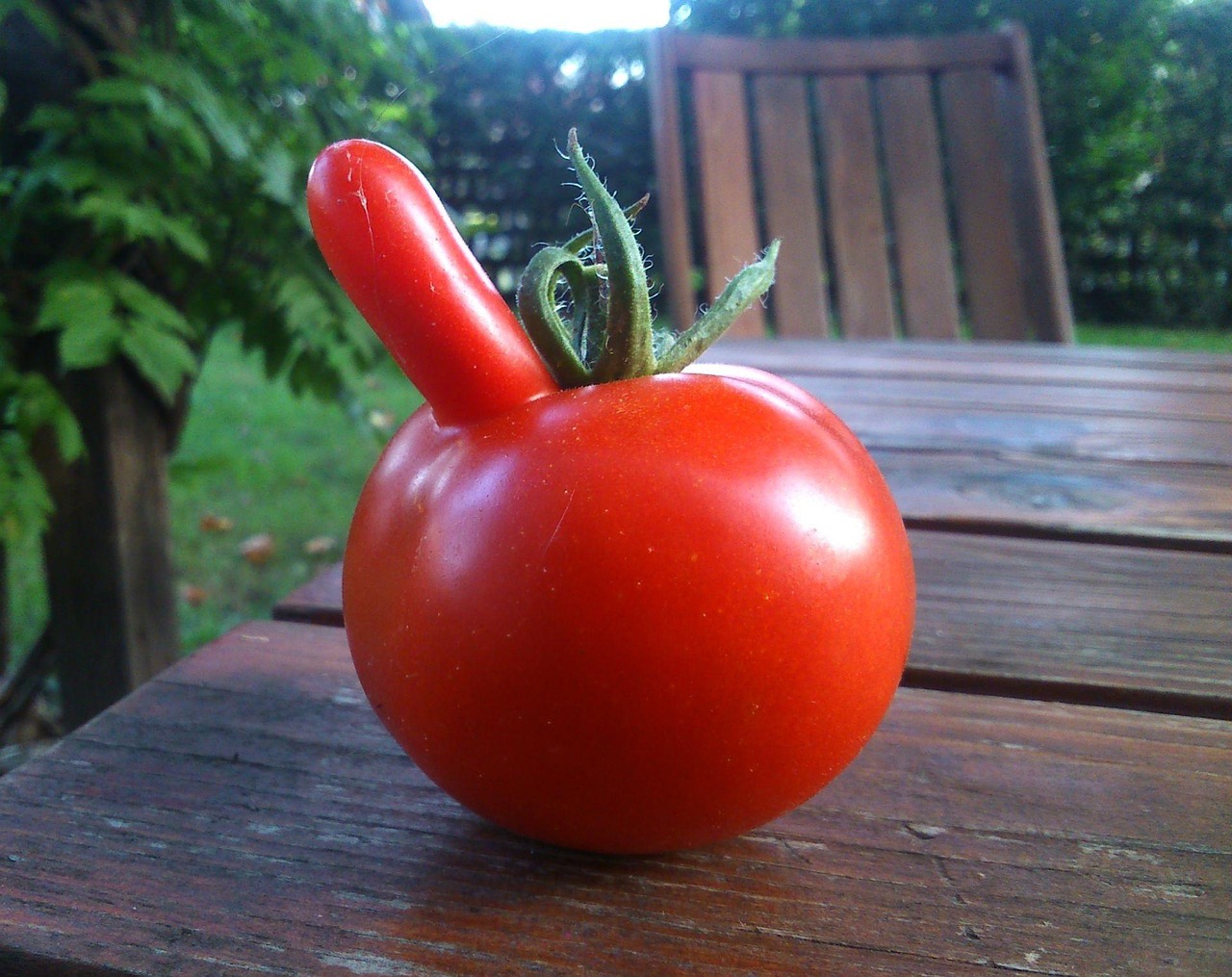 100+ Free Funny Vegetables & Funny Images - Pixabay