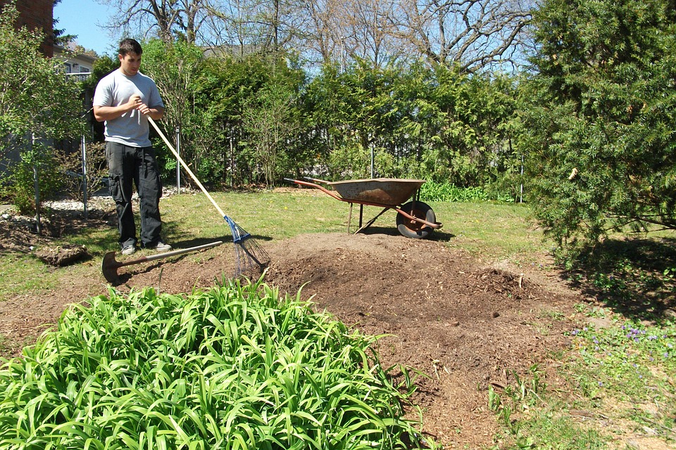 Lawn Restoration Gardening - Free photo on Pixabay