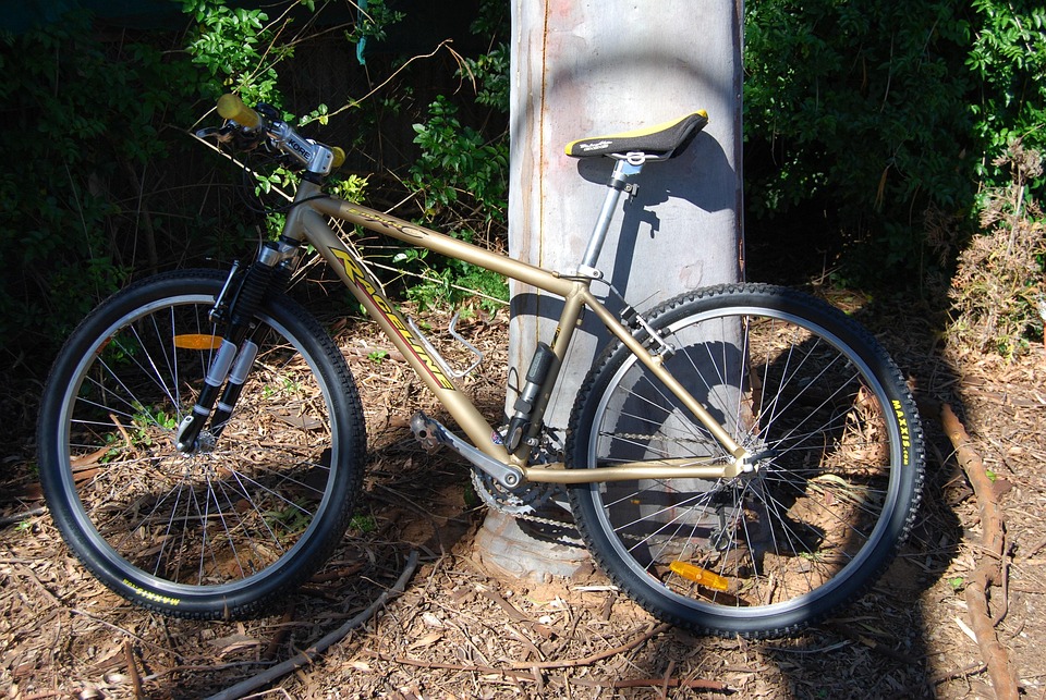 Bike Bicycle Cycle - Free photo on Pixabay - Pixabay