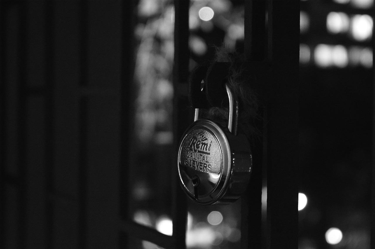 10 000 Free Security Safety And Security Images Pixabay