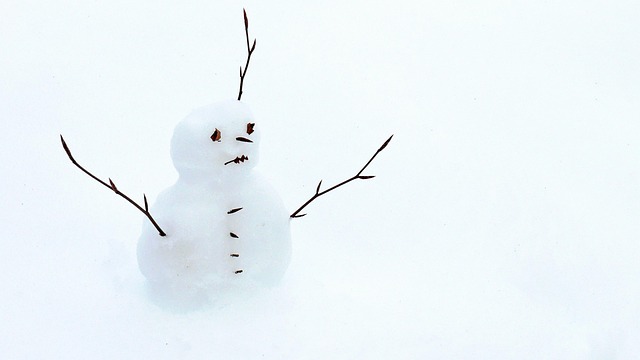100+ Free Snowmen & Snowman Images - Pixabay
