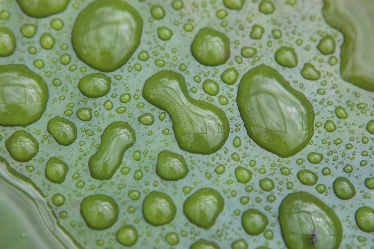 Gouttes D'Eau Formes Les Figures - Photo gratuite sur Pixabay - Pixabay