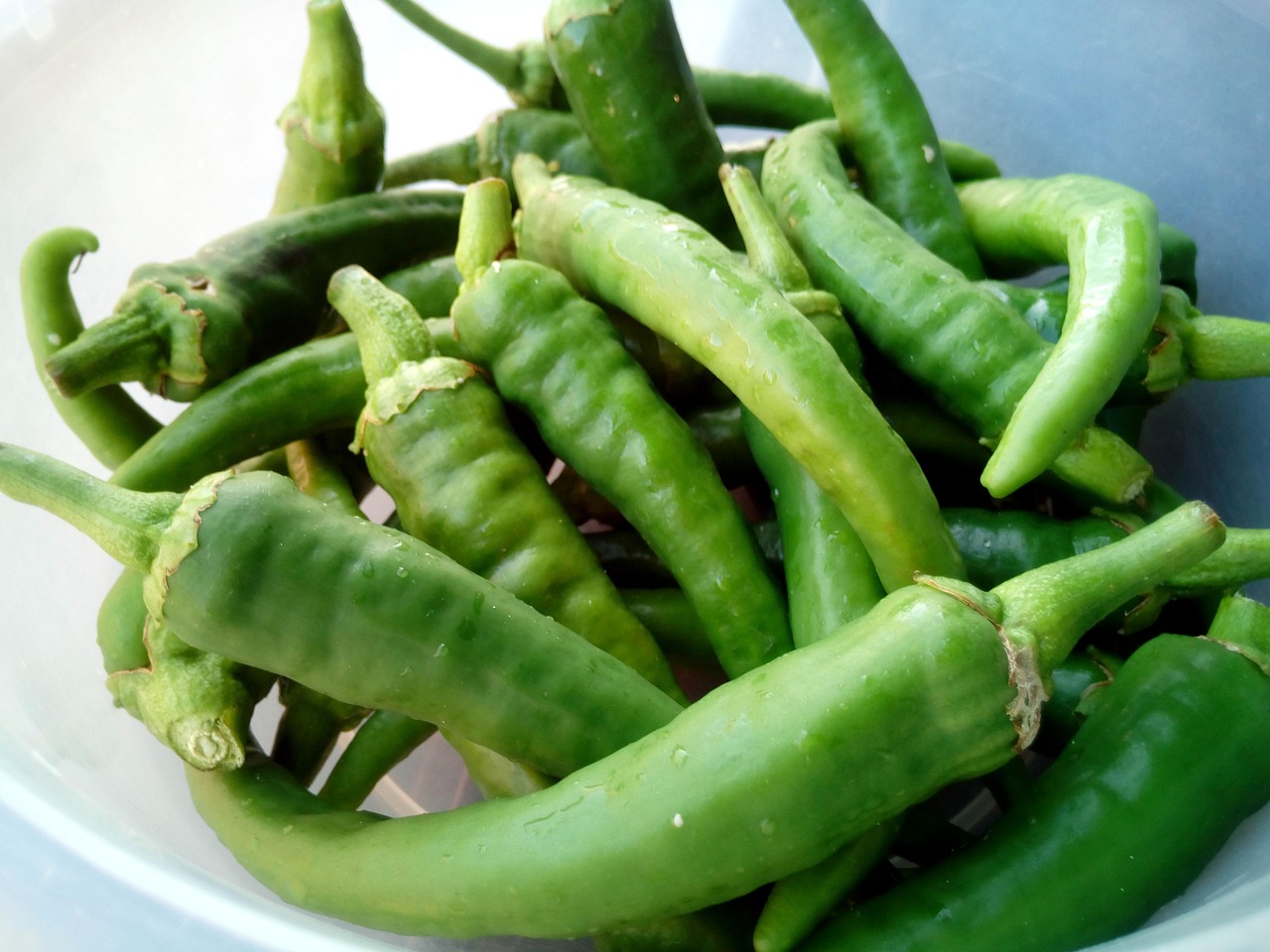Cabai Paprika Pedas - Foto gratis di Pixabay - Pixabay