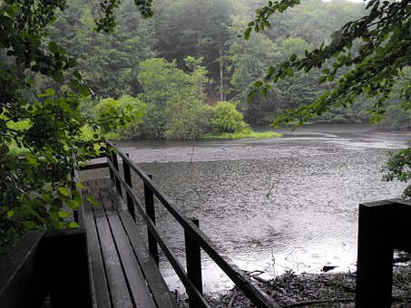 10+ Free Torrential Rain & Rainy Images - Pixabay