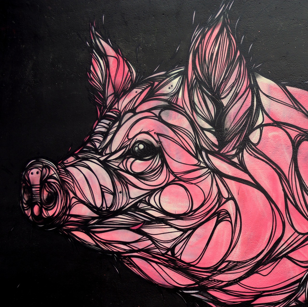 Pig Animal Mammal Work Of - Free photo on Pixabay - Pixabay