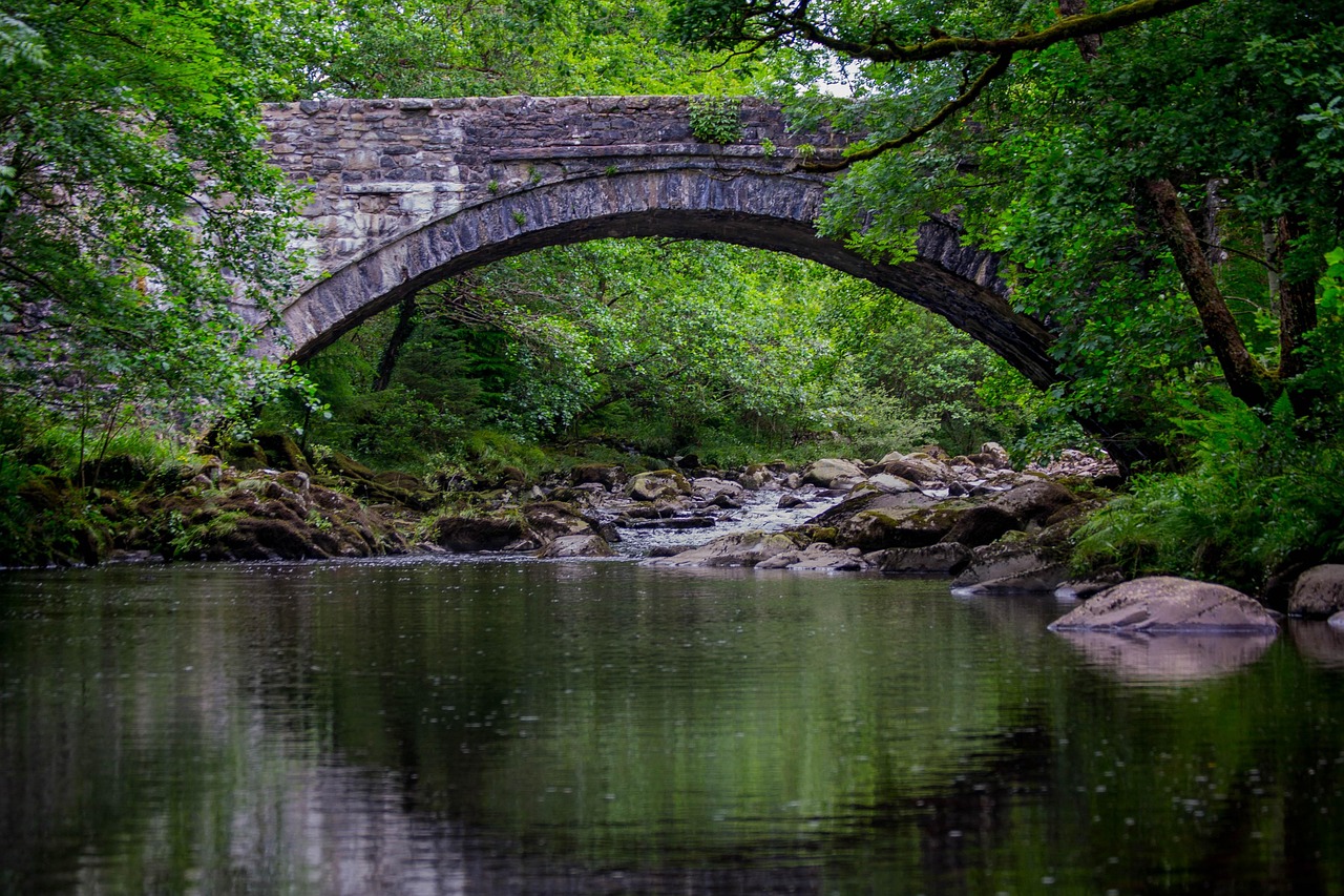 Coed Y Brenin Bridge Landscape - Free photo on Pixabay - Pixabay