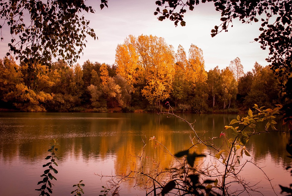 Lac Forêt La Nature - Photo gratuite sur Pixabay - Pixabay