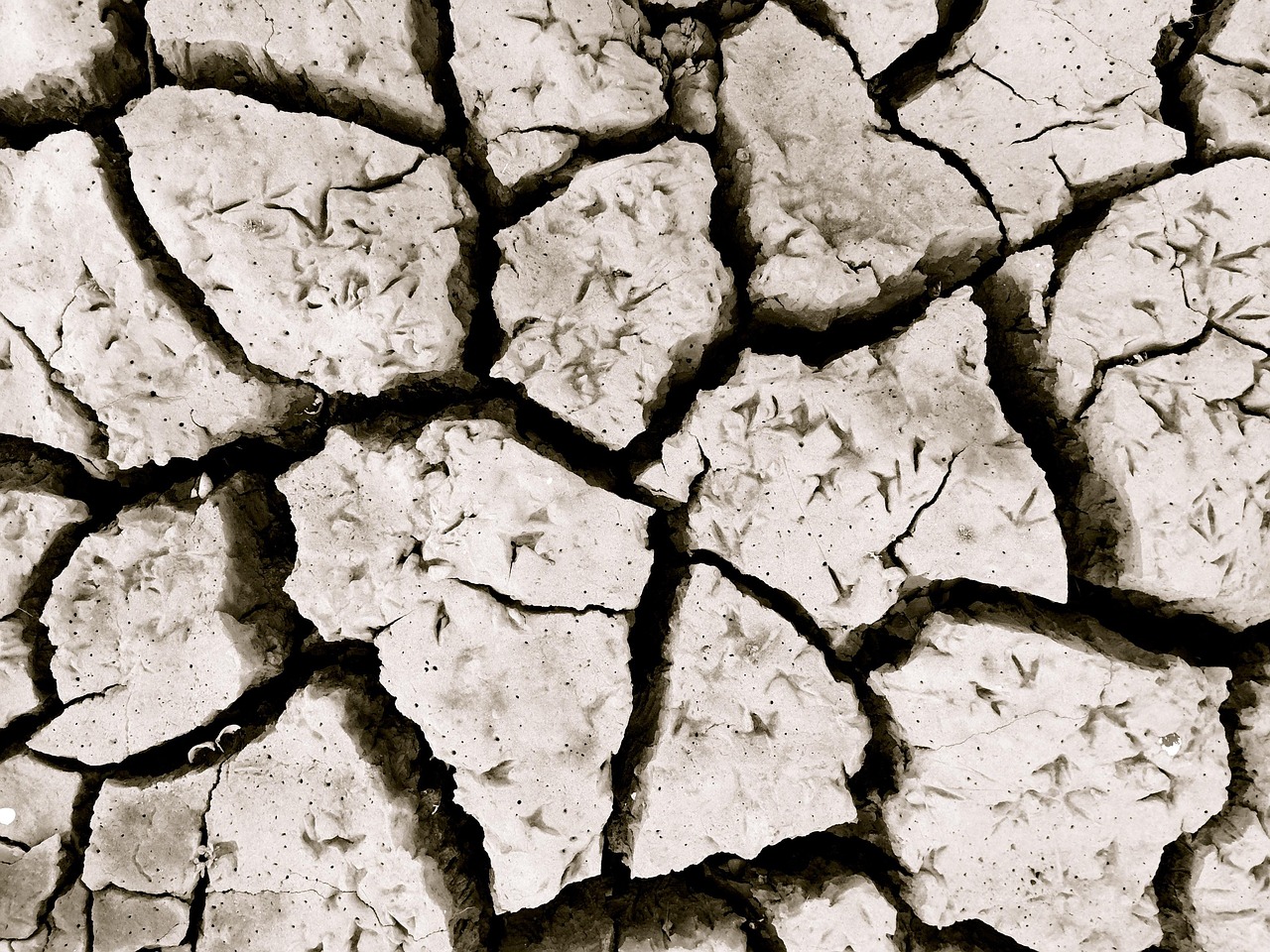 8,000+ Free Cracked Earth & Drought Photos - Pixabay