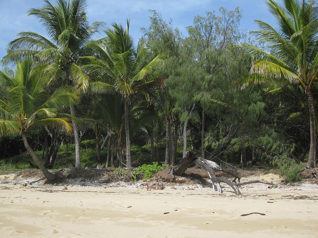 Isla Playa Palma - Foto gratis en Pixabay - Pixabay