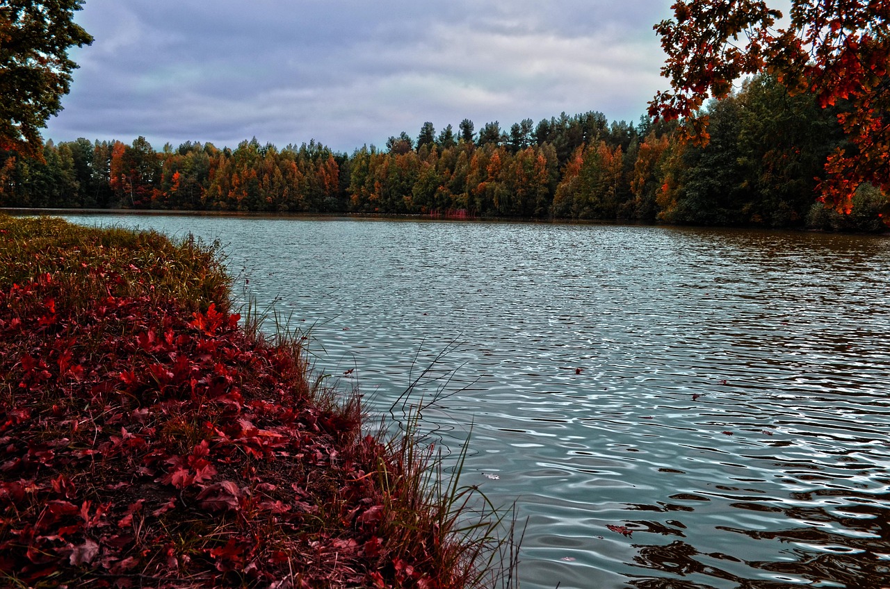 La Nature L'Eau Niveaux - Photo gratuite sur Pixabay - Pixabay