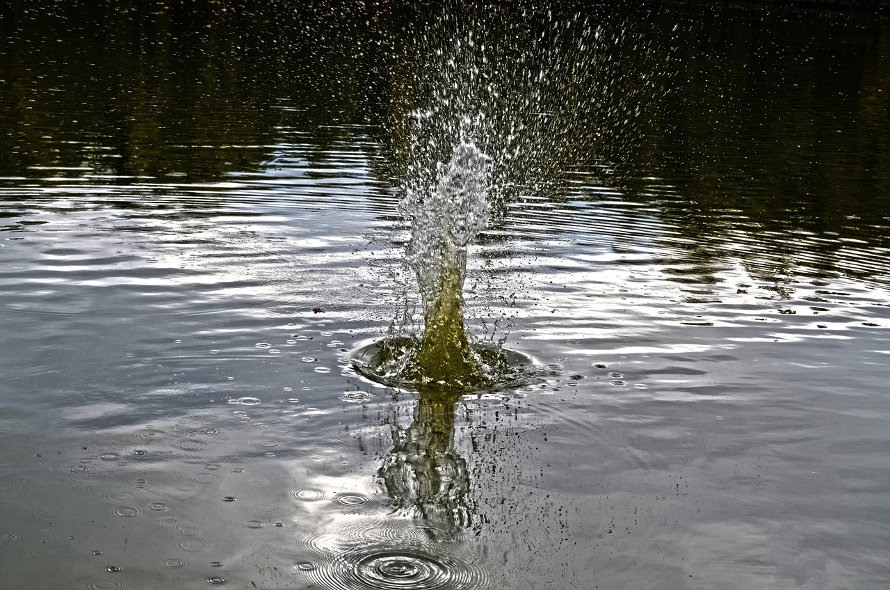 Nature Water - Free photo on Pixabay - Pixabay