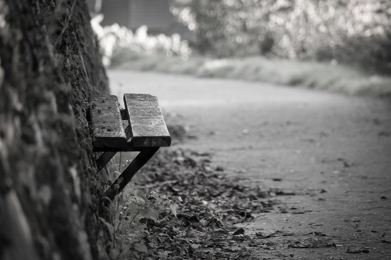 Bank To Sit Relax - Free photo on Pixabay - Pixabay