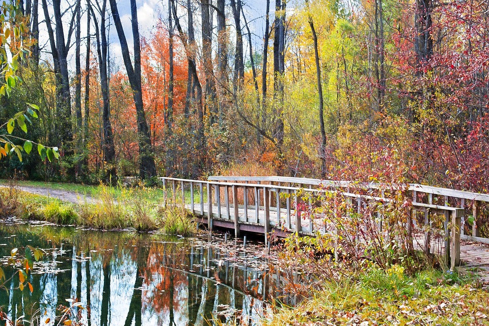 Wooden Bridge Autumn Fall - Free photo on Pixabay