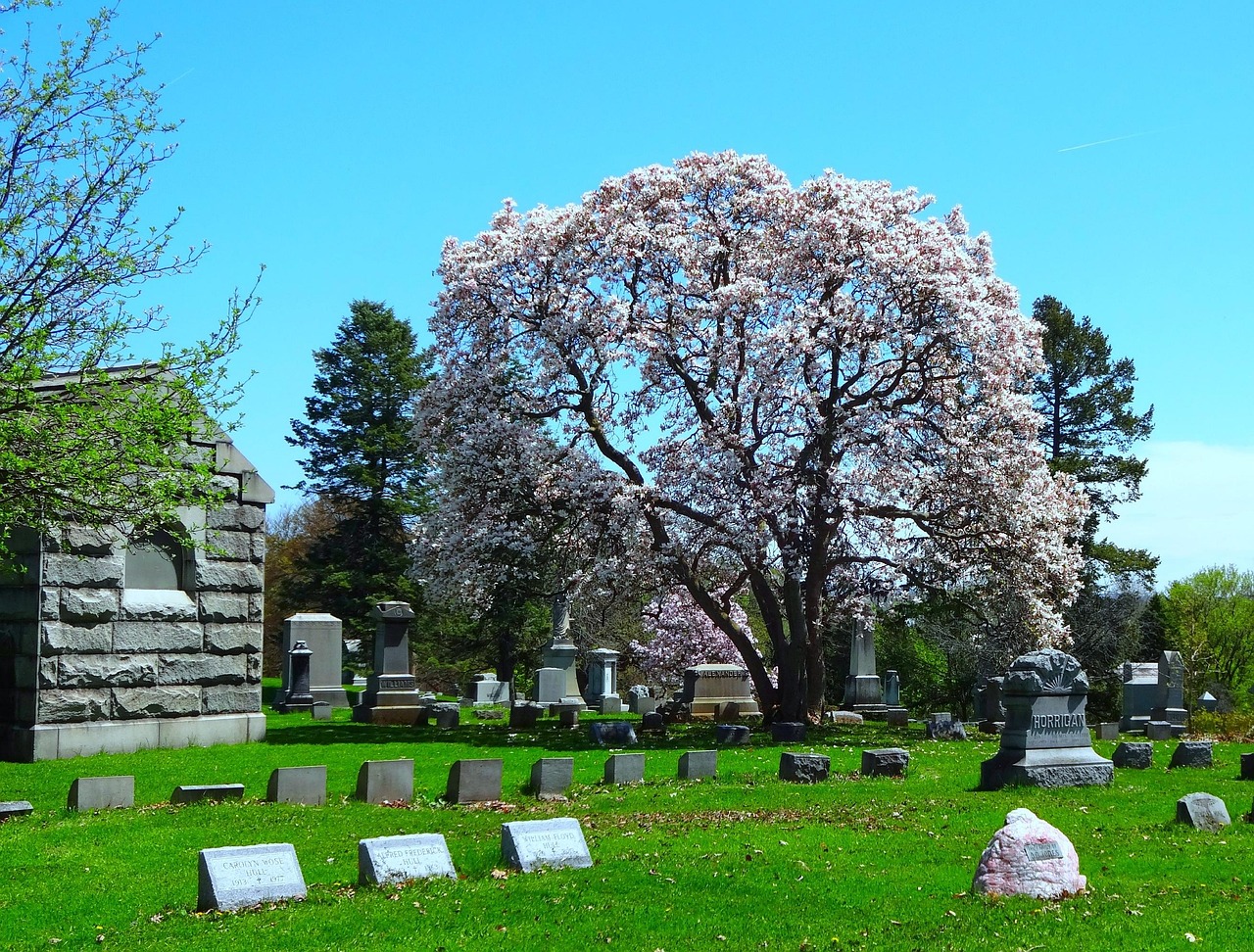 2,000+ Free Tombstone & Graveyard Images - Pixabay