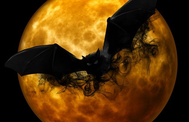 Explore 1,493+ Free Bats Illustrations: Download Now - Pixabay