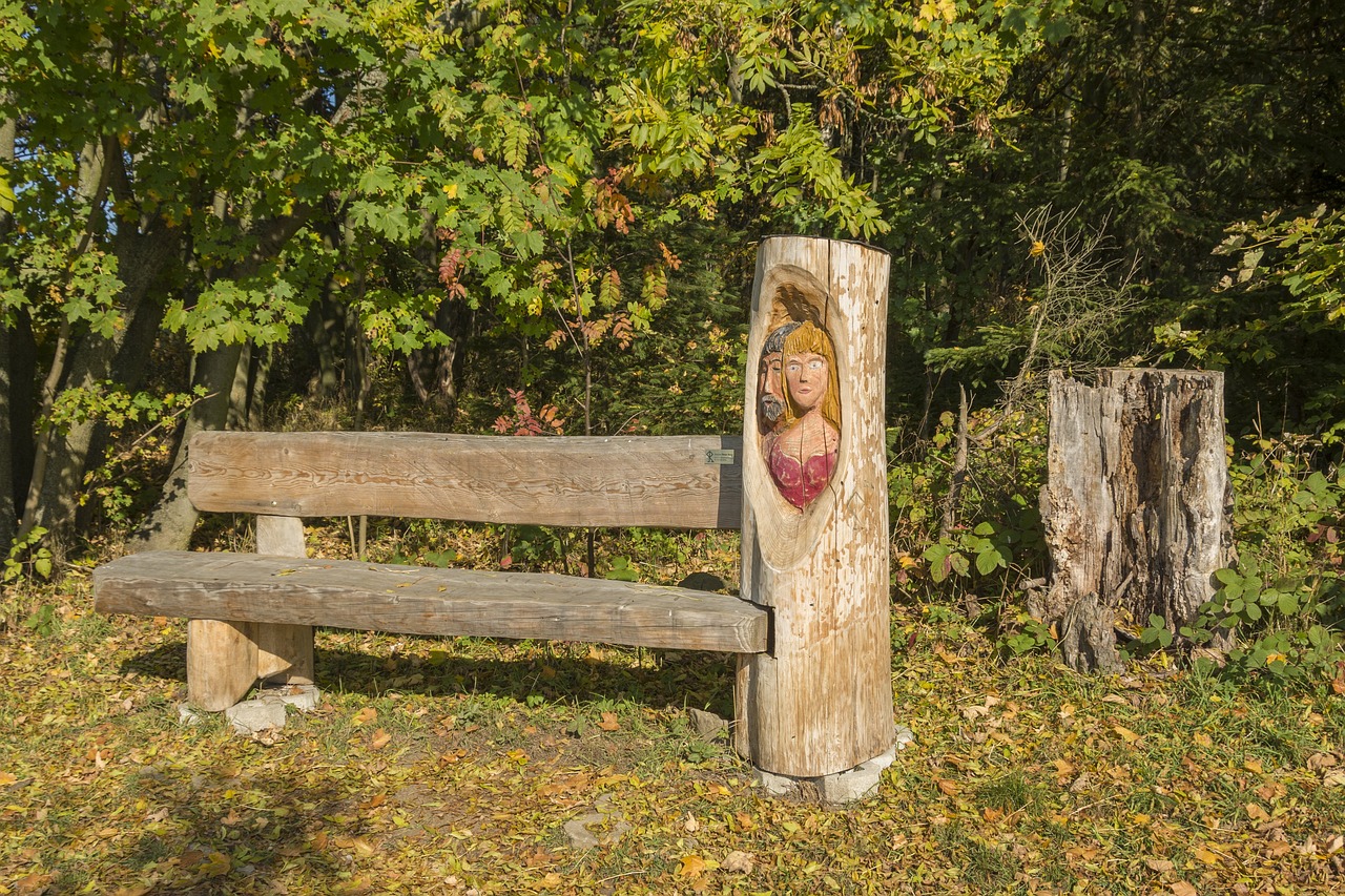 Art In The Forest Ore Mountains - Free photo on Pixabay - Pixabay