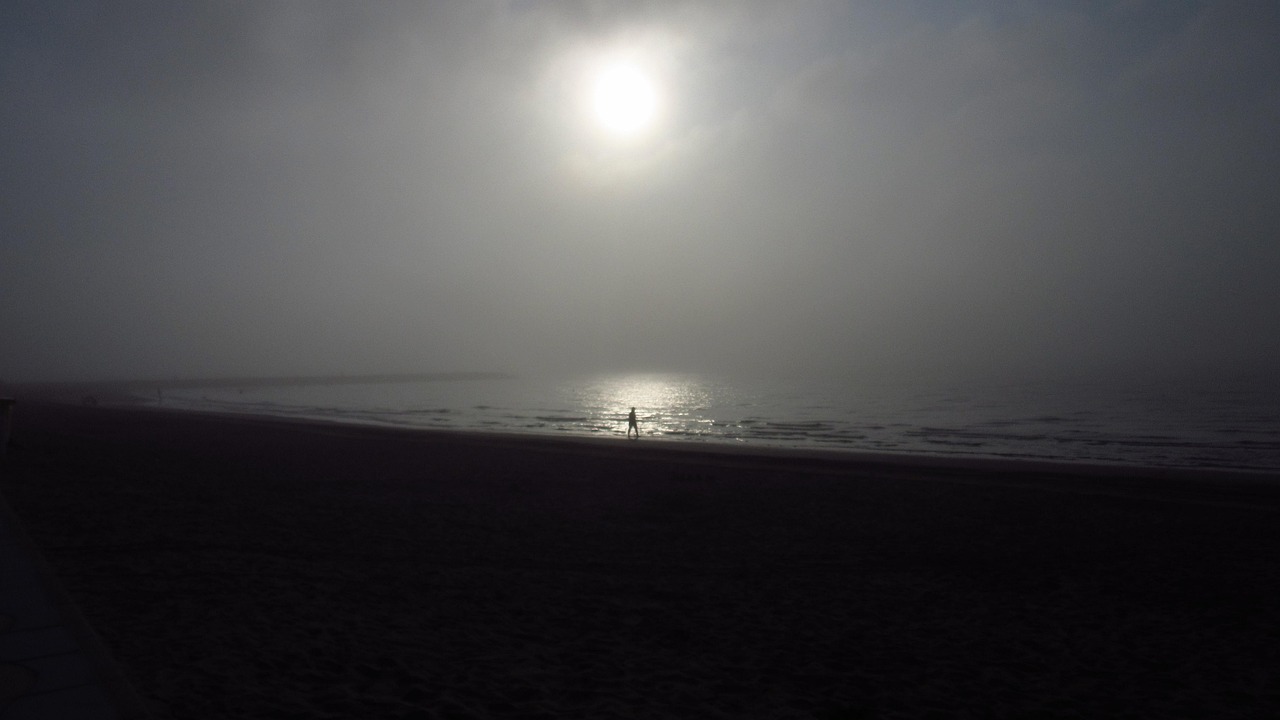 Fog Beach Mood - Free photo on Pixabay - Pixabay