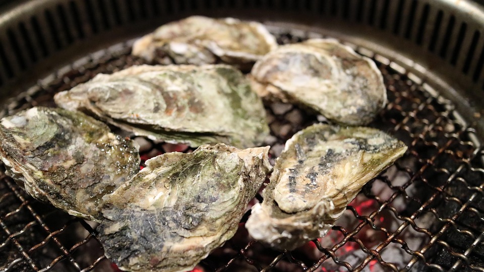 Oyster Oysters Shell - Free photo on Pixabay - Pixabay
