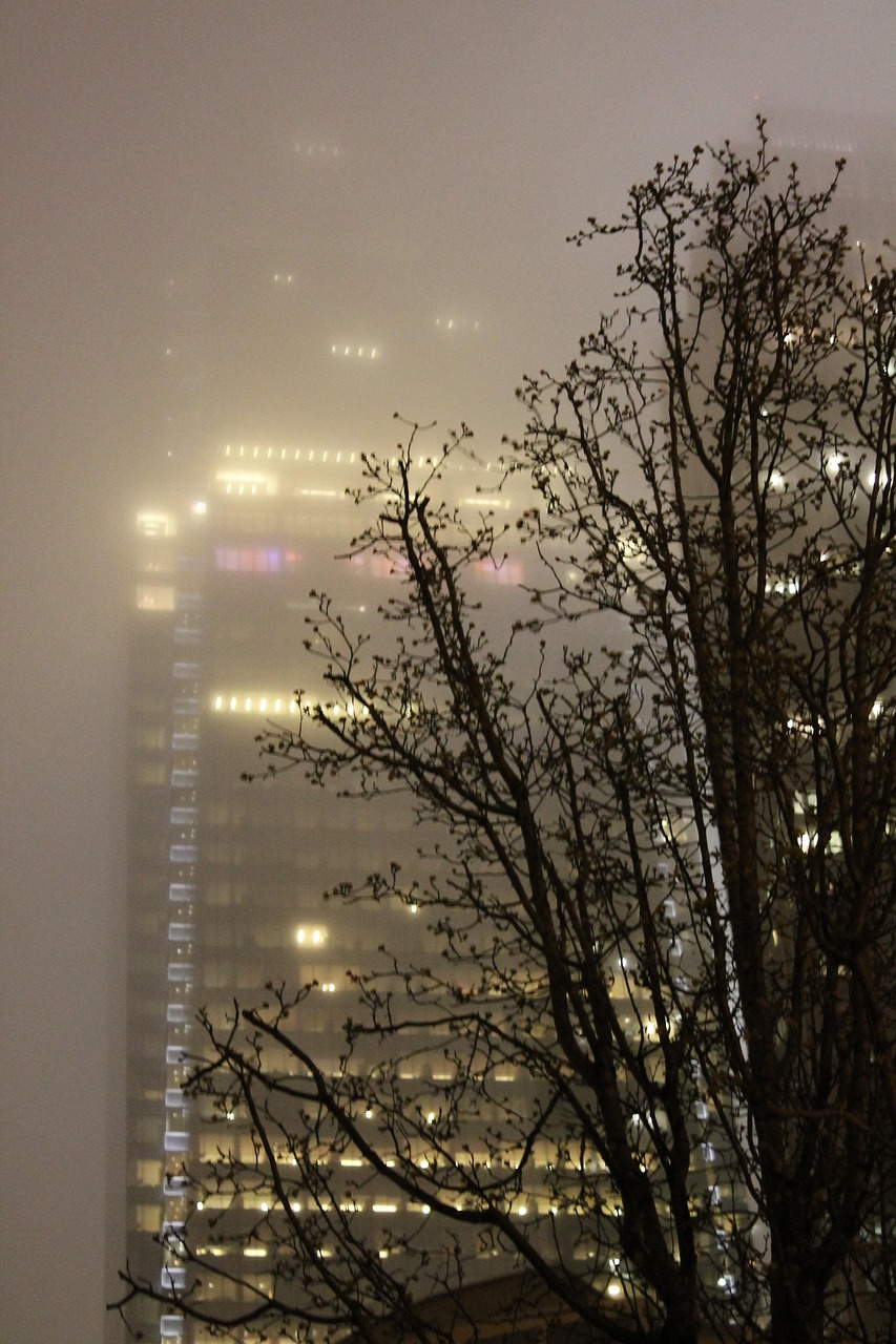 Fog Night Architecture - Free photo on Pixabay - Pixabay