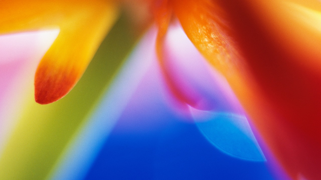 Color Beautfull - Free photo on Pixabay - Pixabay