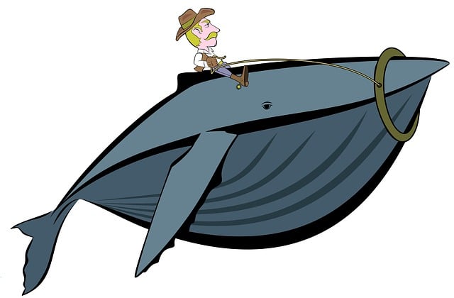 Whale Human Hand Lob-Tailing - Free image on Pixabay