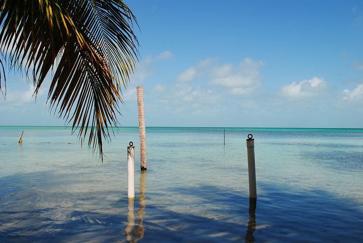 300+ Free Belize & Nature Photos - Pixabay