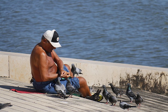 Guy Pigeons Friends - Free photo on Pixabay - Pixabay