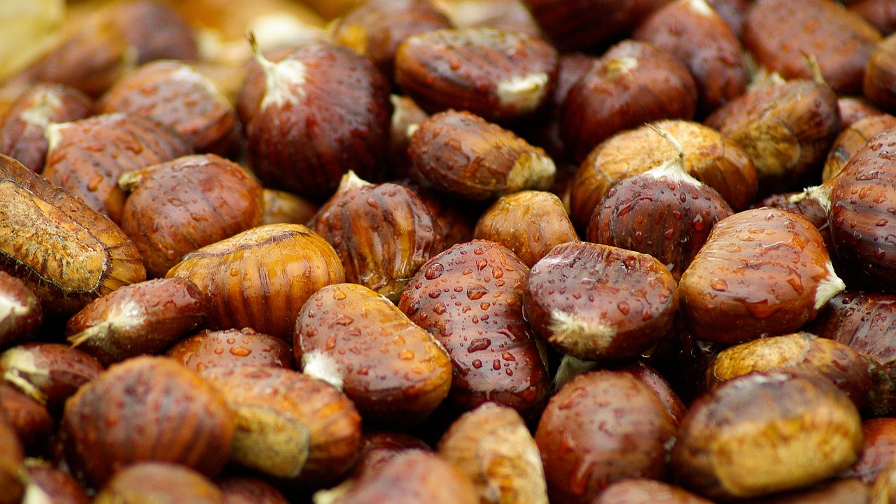 2,000+ Free Chestnut & Nature Photos - Pixabay