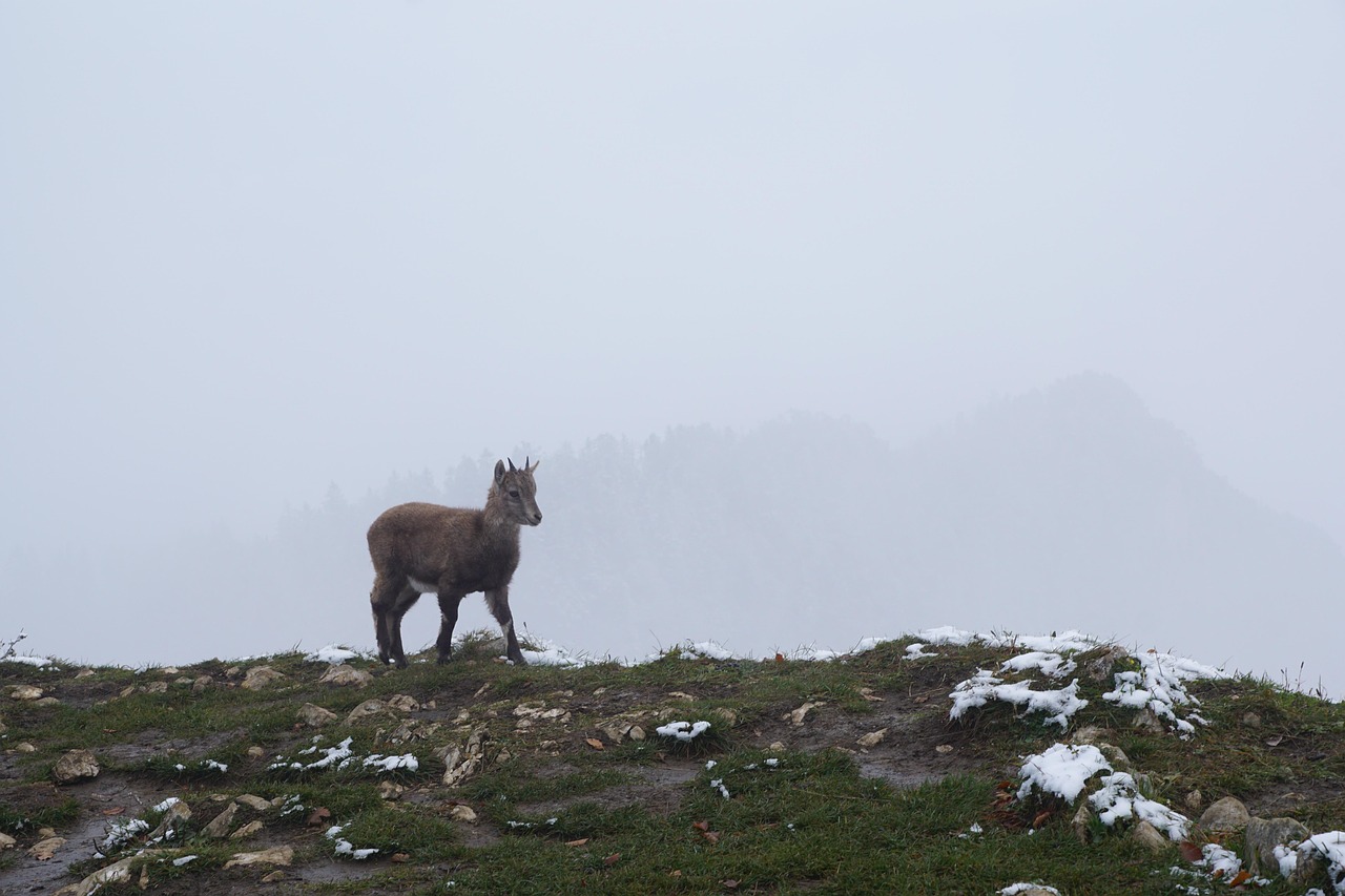 Zerge Hegyek Téli Creux Du - Ingyenes fotó a Pixabay-en - Pixabay