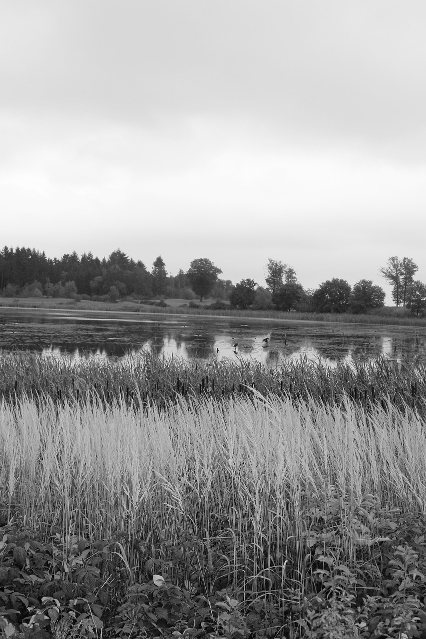Rodder Maar Brohltal Eifel - Photo gratuite sur Pixabay - Pixabay