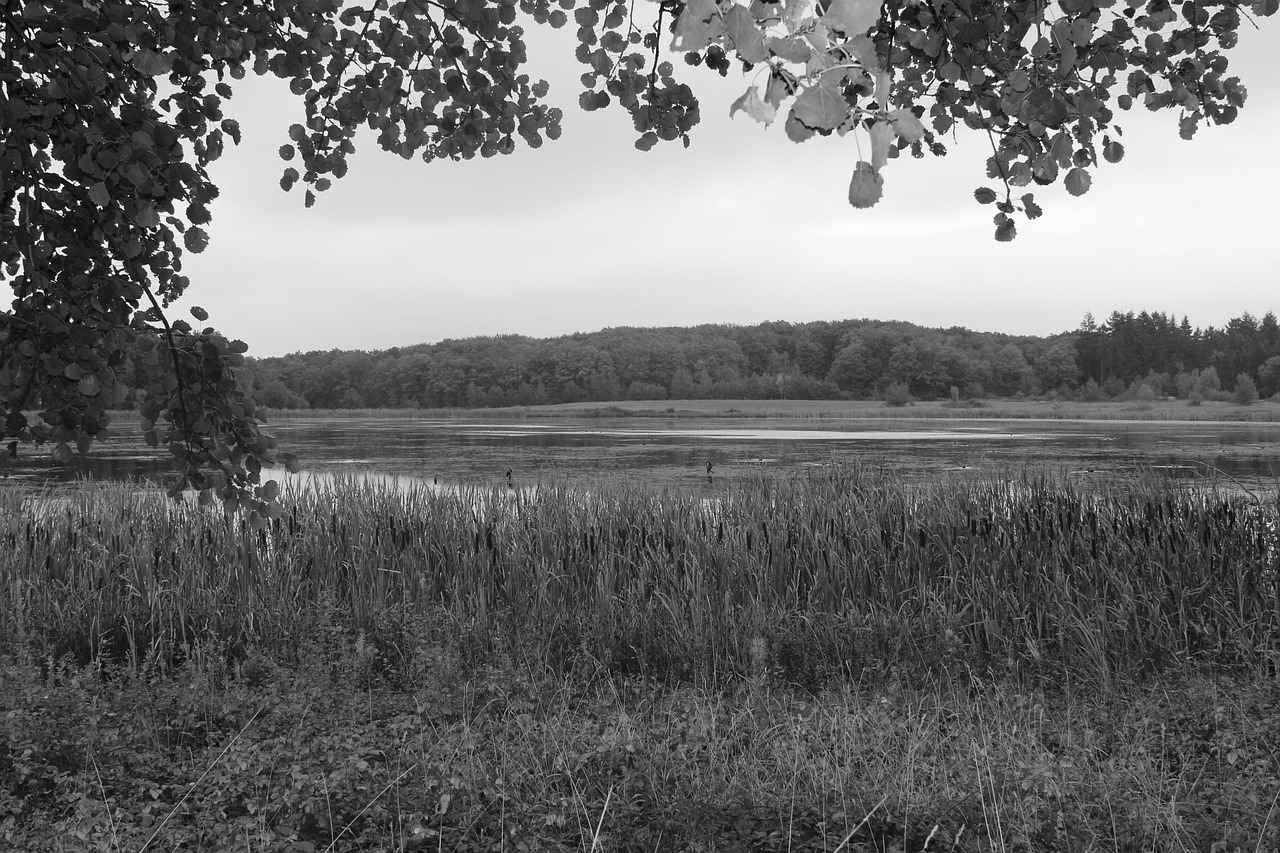 Rodder Maar Brohltal Volcanic - Free photo on Pixabay - Pixabay