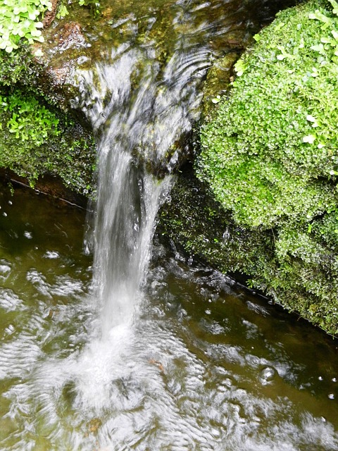 Water Waterfall River - Free photo on Pixabay