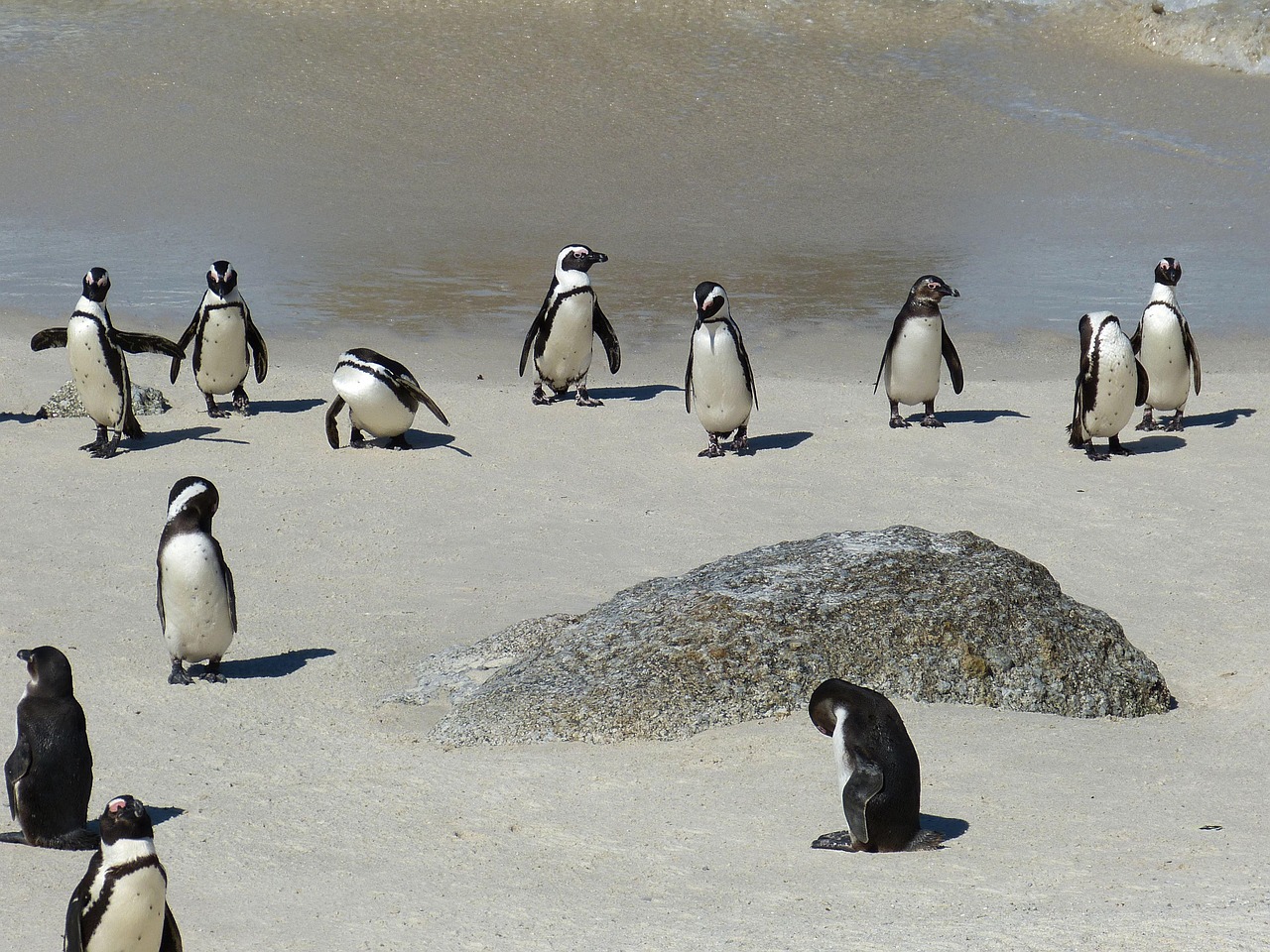 900+ Free Peninsulas & Nature Images - Pixabay