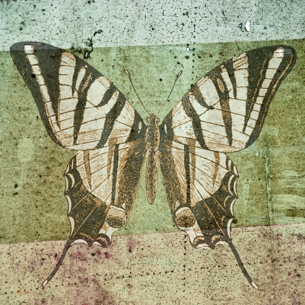 Download Butterfly, Color Scrapbook, Page. Royalty-Free Stock ...